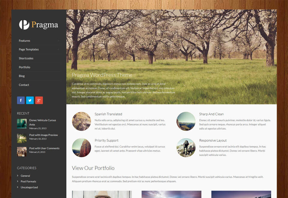 WordPress Themes - CPOThemes