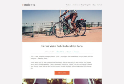 WordPress Themes for Business or Corporate by CPOThemes